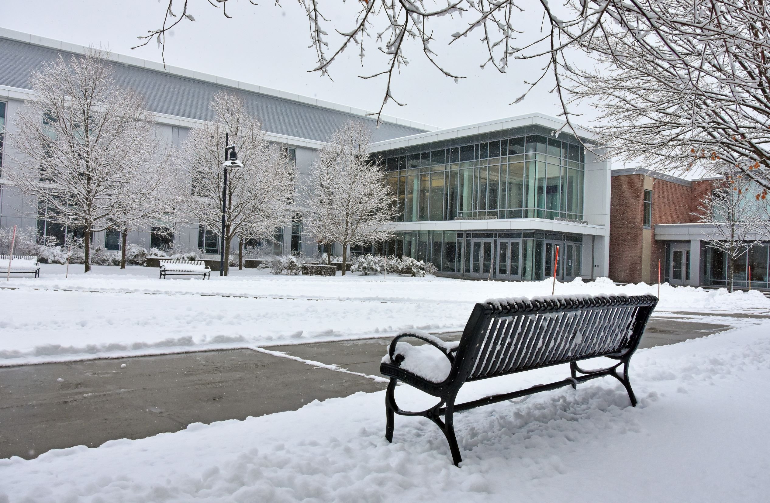 Snow Makes Campus a Winter Wonderland