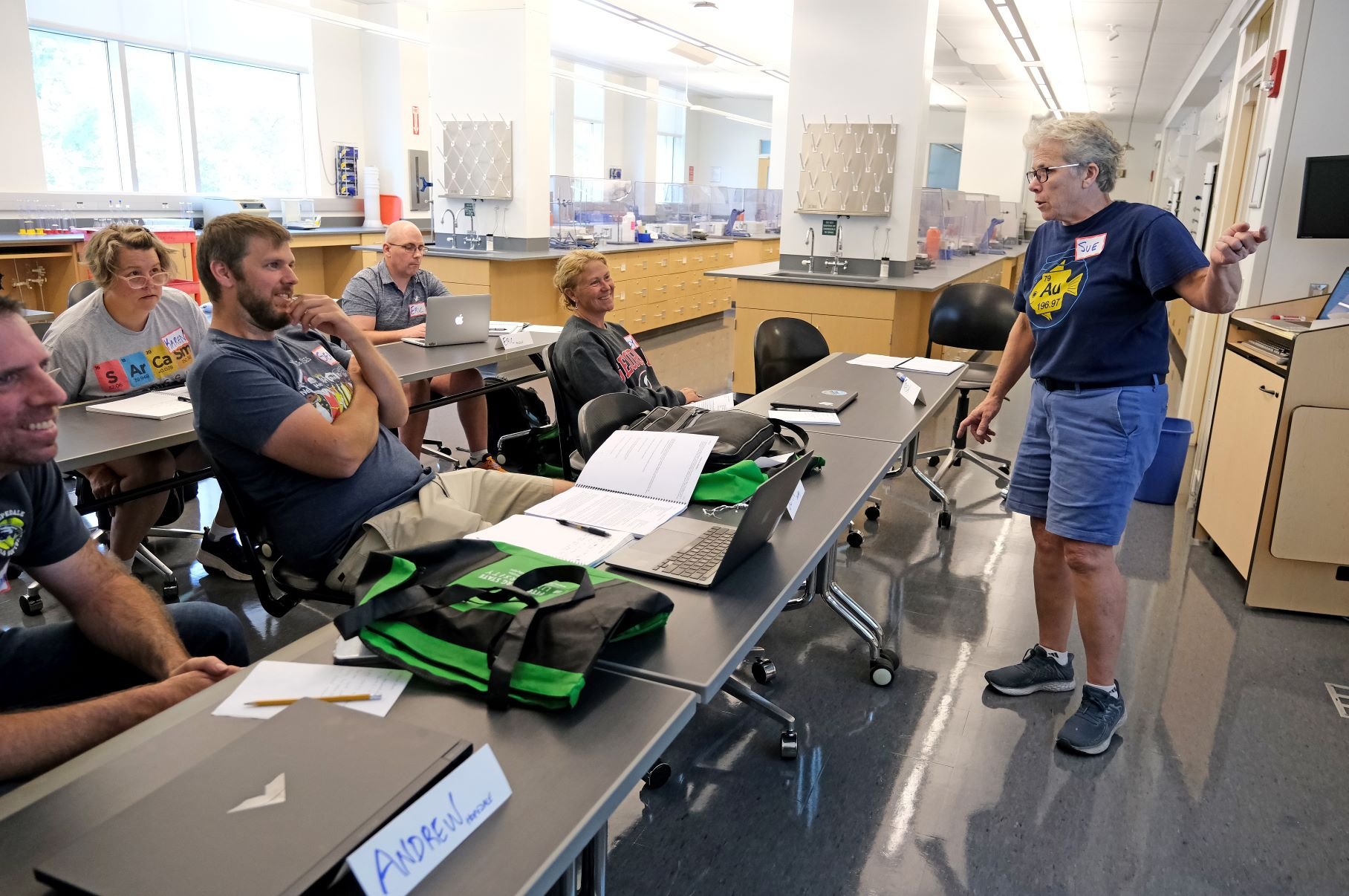 Center for Professional Studies' Advanced Placement Summer Institutes ...