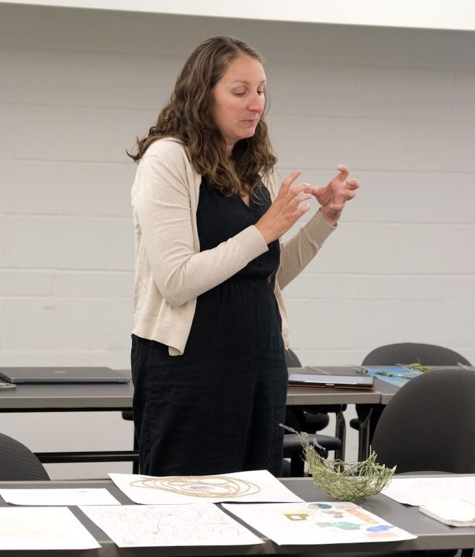 Center for Professional Studies' Advanced Placement Summer Institutes ...