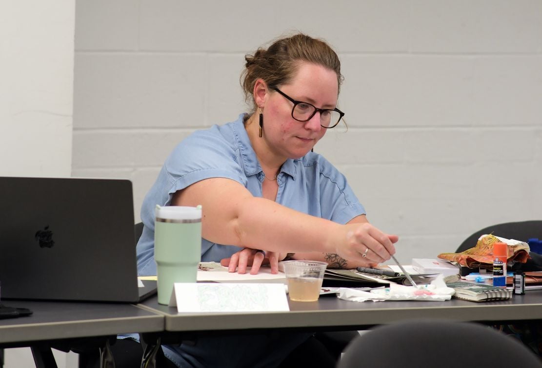 Center for Professional Studies' Advanced Placement Summer Institutes ...