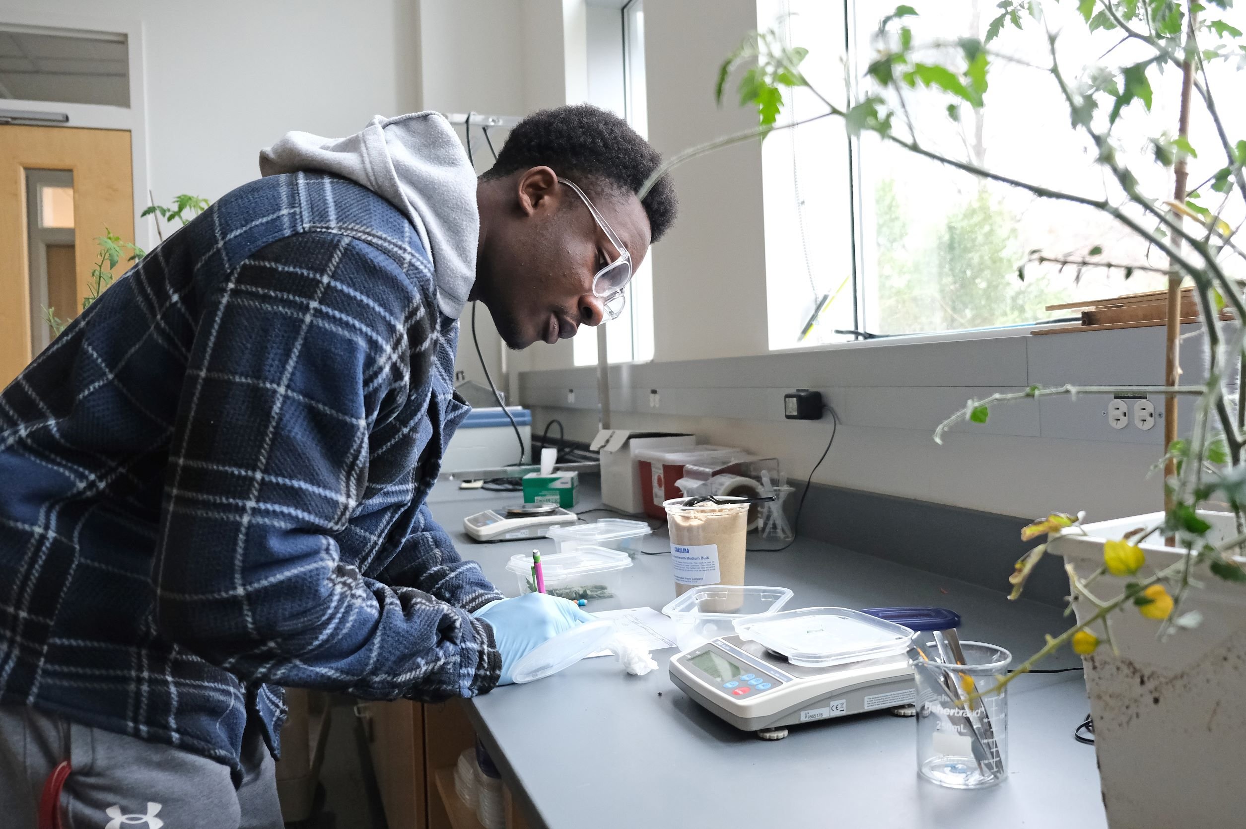 Around Campus - Invertebrate Biology Lab
