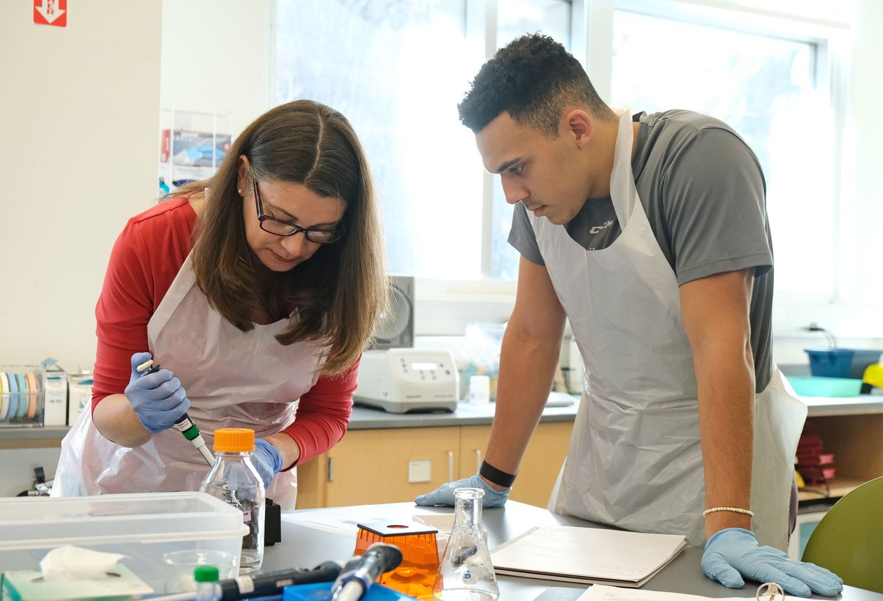 Around Campus - Gel Electrophoresis Lab