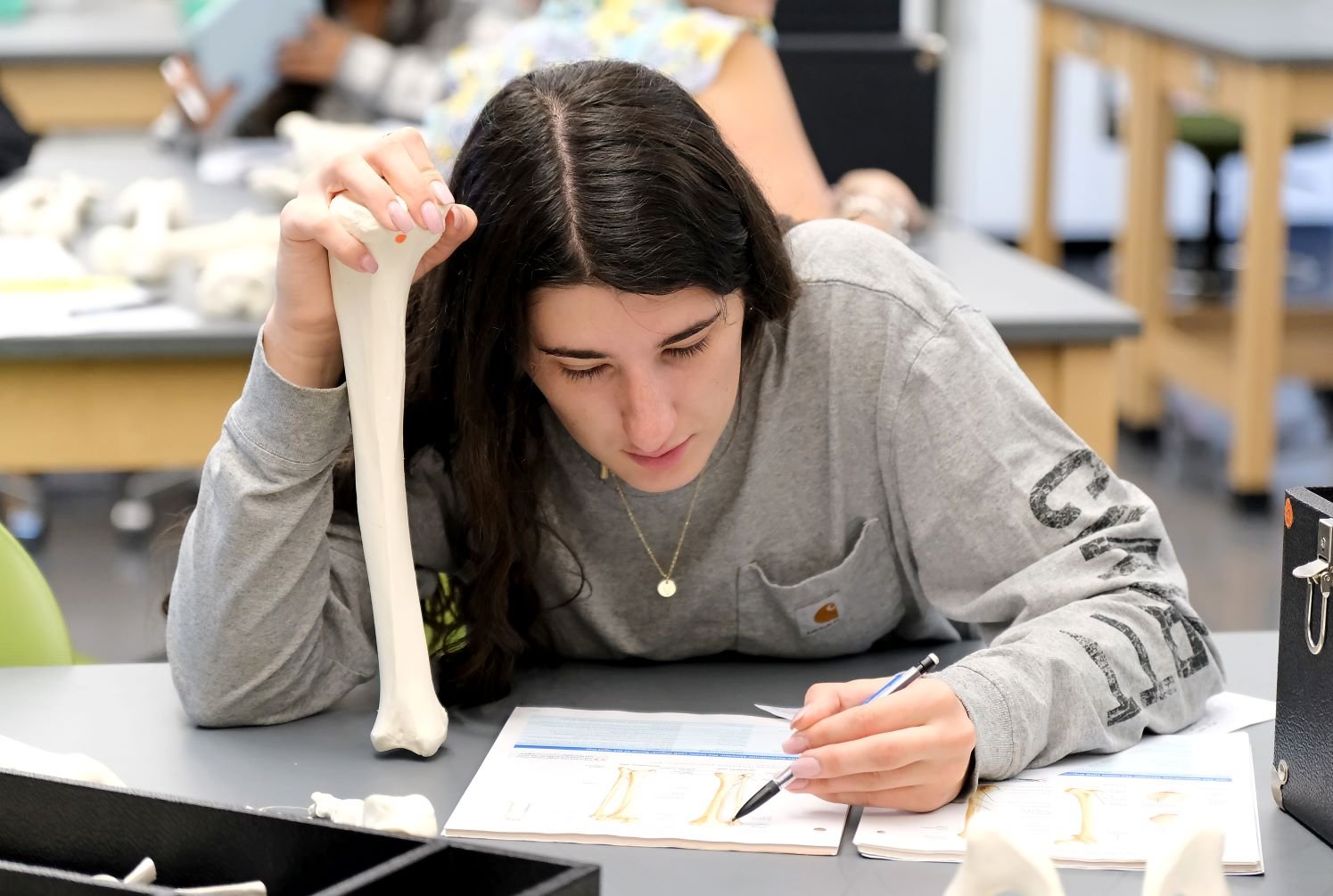 Around Campus - Human Anatomy & Physiology Lab