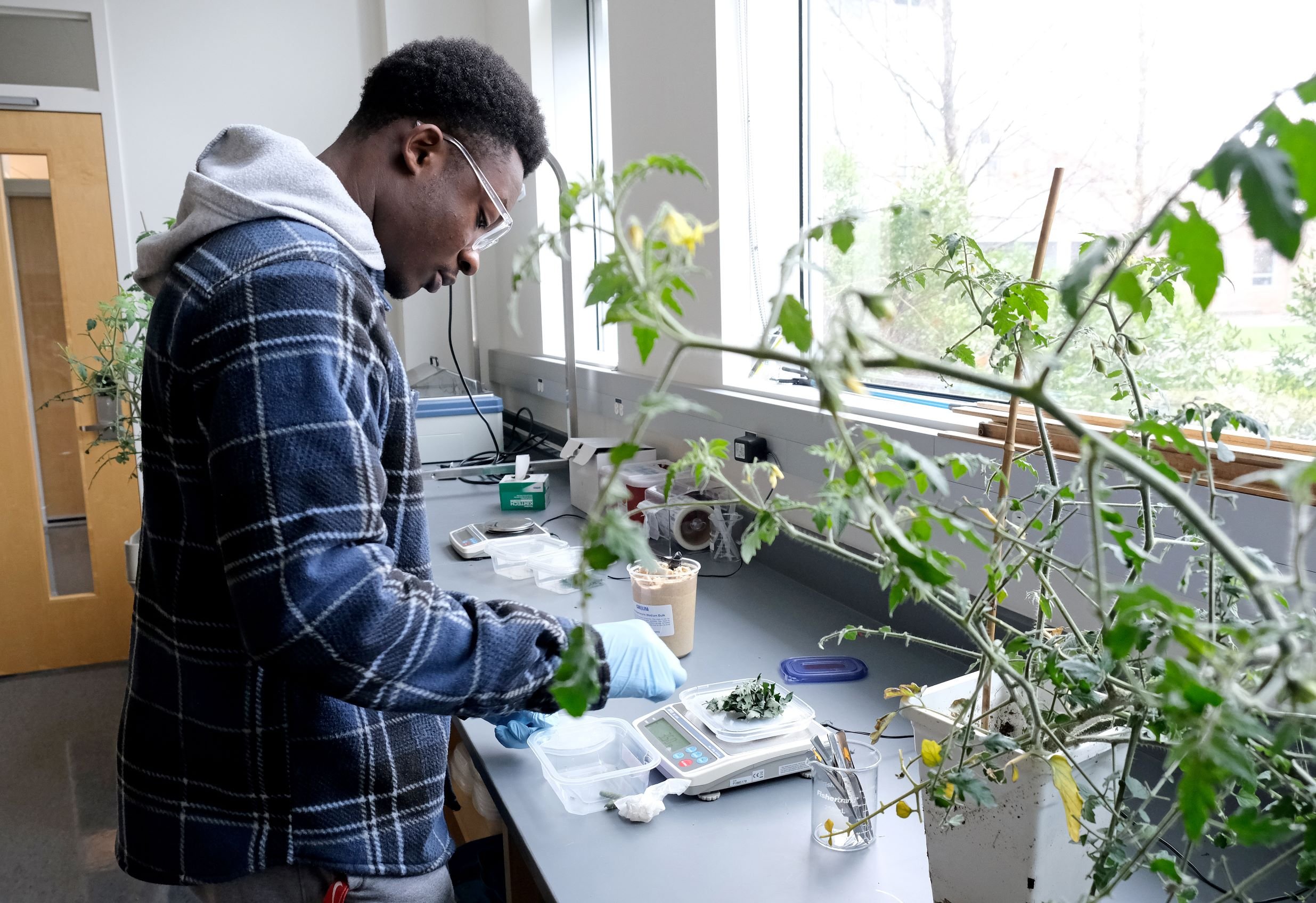 Around Campus - Invertebrate Biology Lab