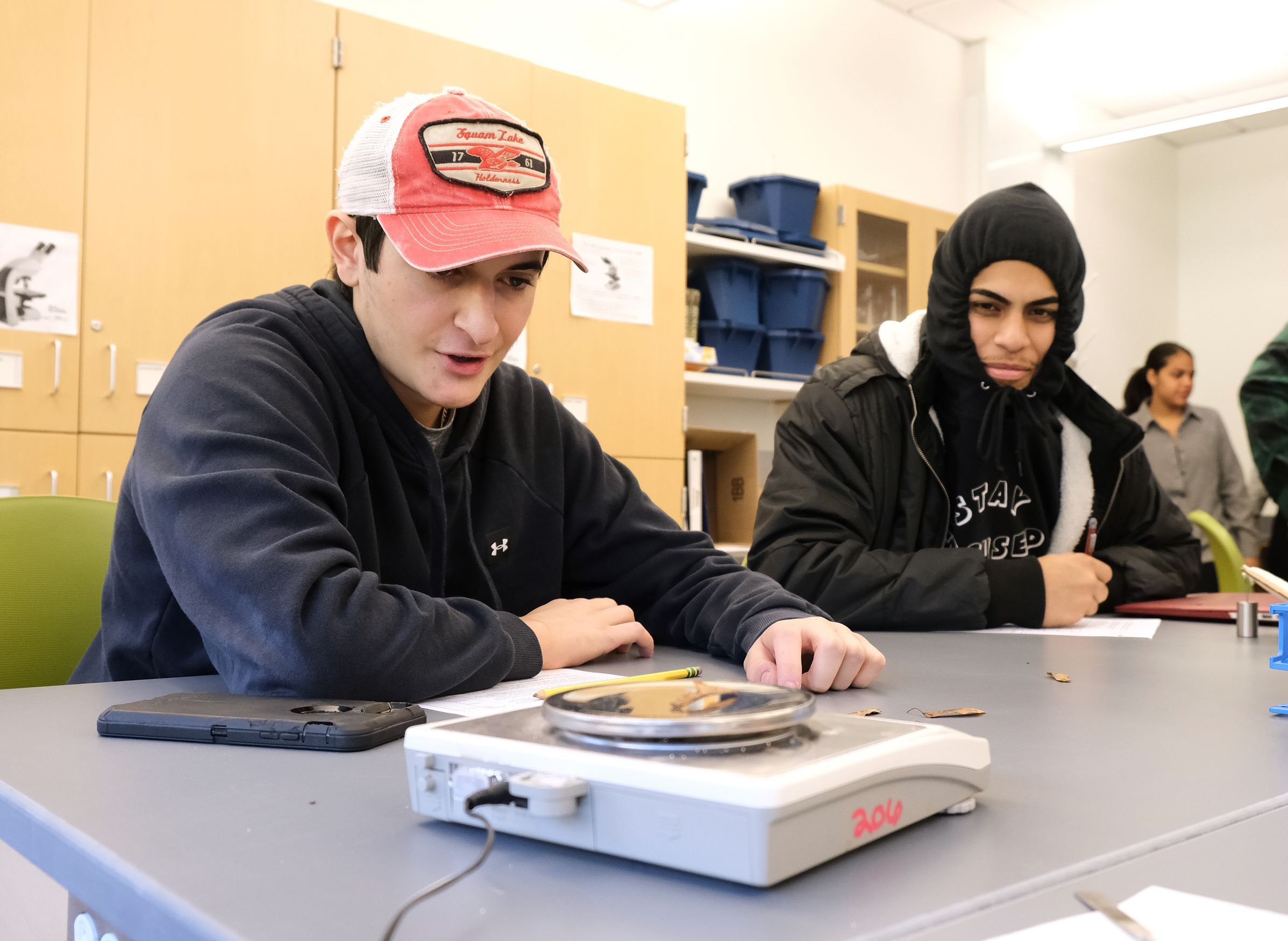 FYE - Seed Dispersal Lab