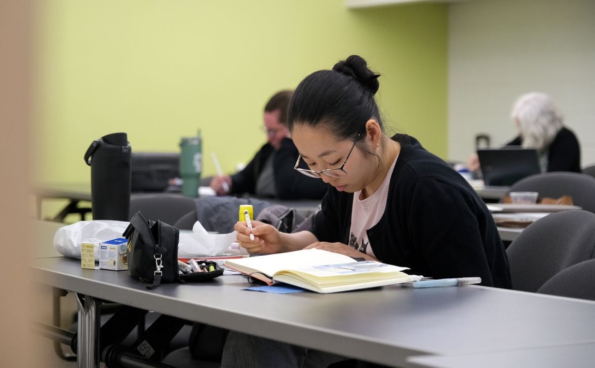 Center for Professional Studies' Advanced Placement Summer Institutes ...