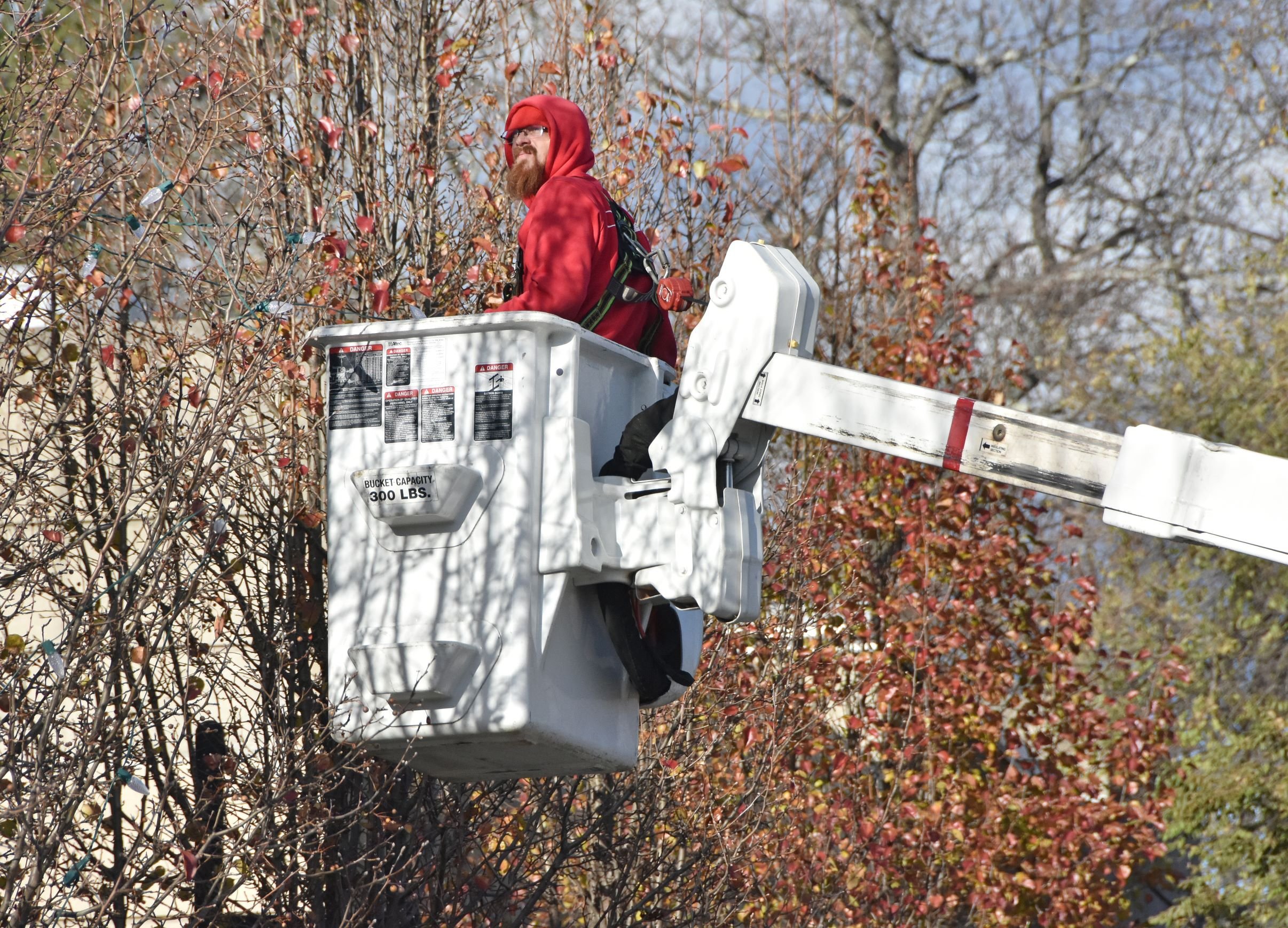 Lighting of the Campus Preparation