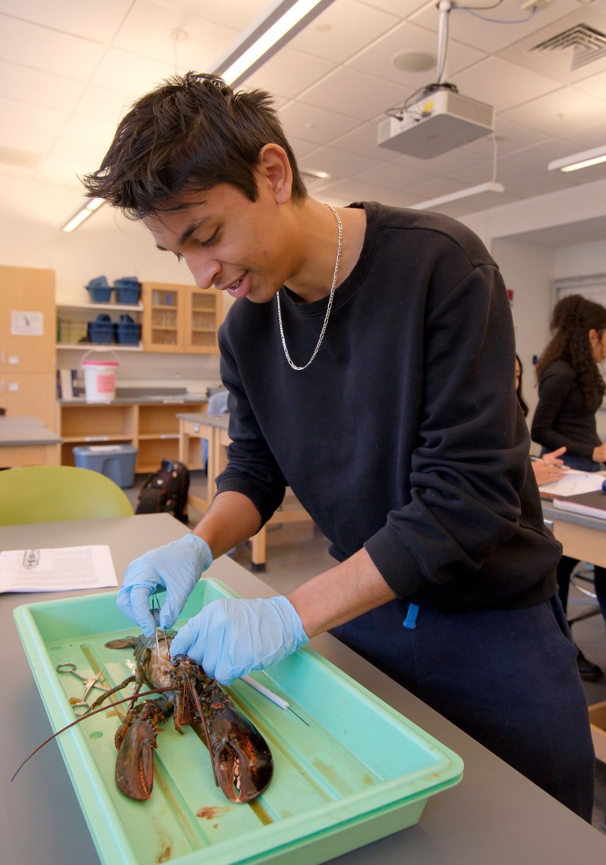 Around Campus - General Biology II Lab