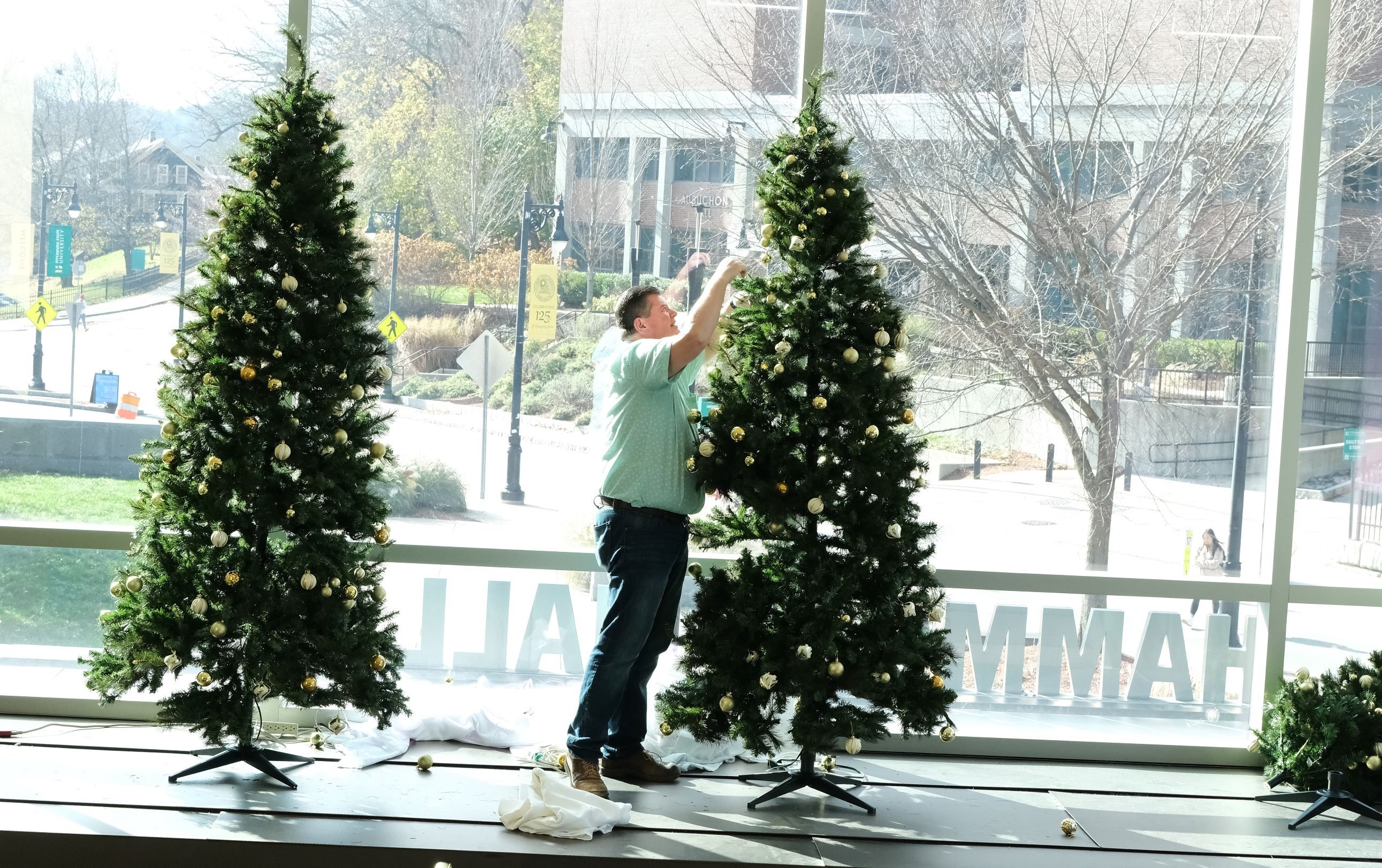 Student Development - Holiday Tree Tradition
