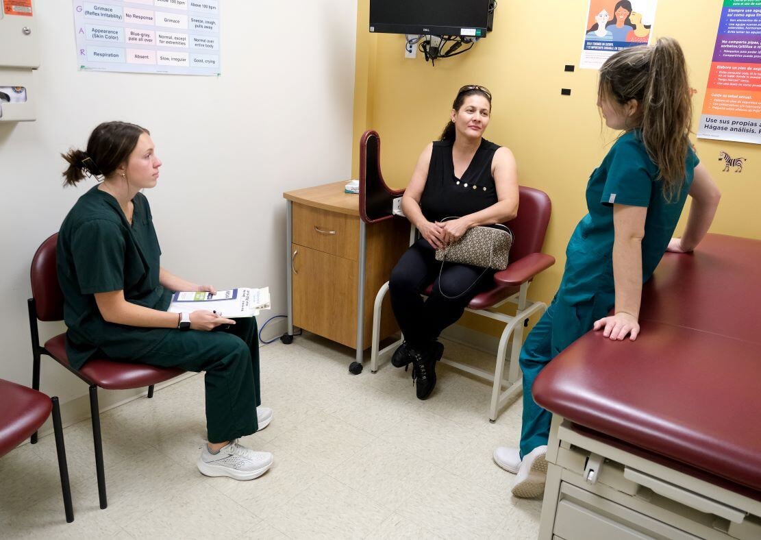 Nursing Simulation Laboratory; Community Nursing