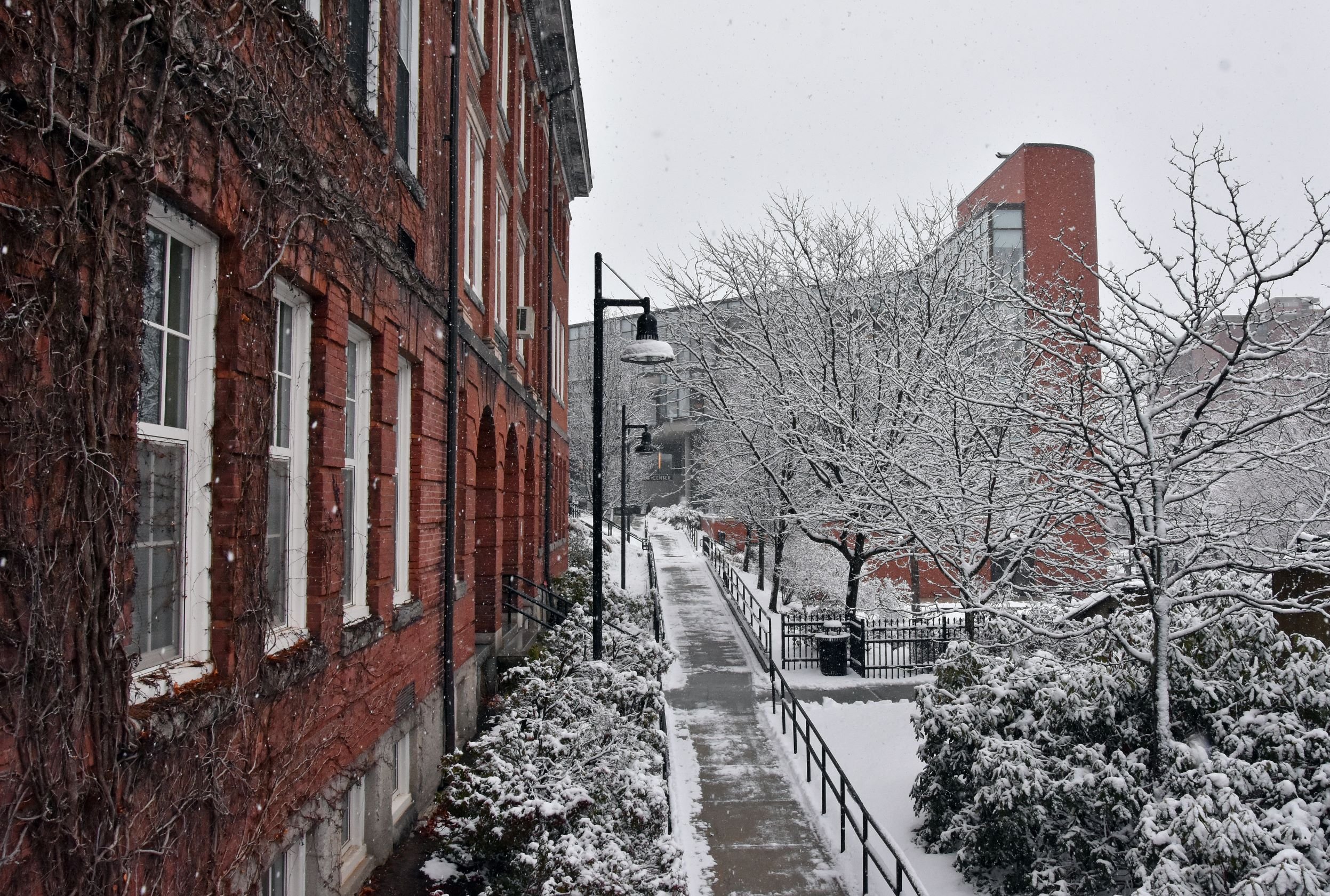Snow Makes Campus a Winter Wonderland