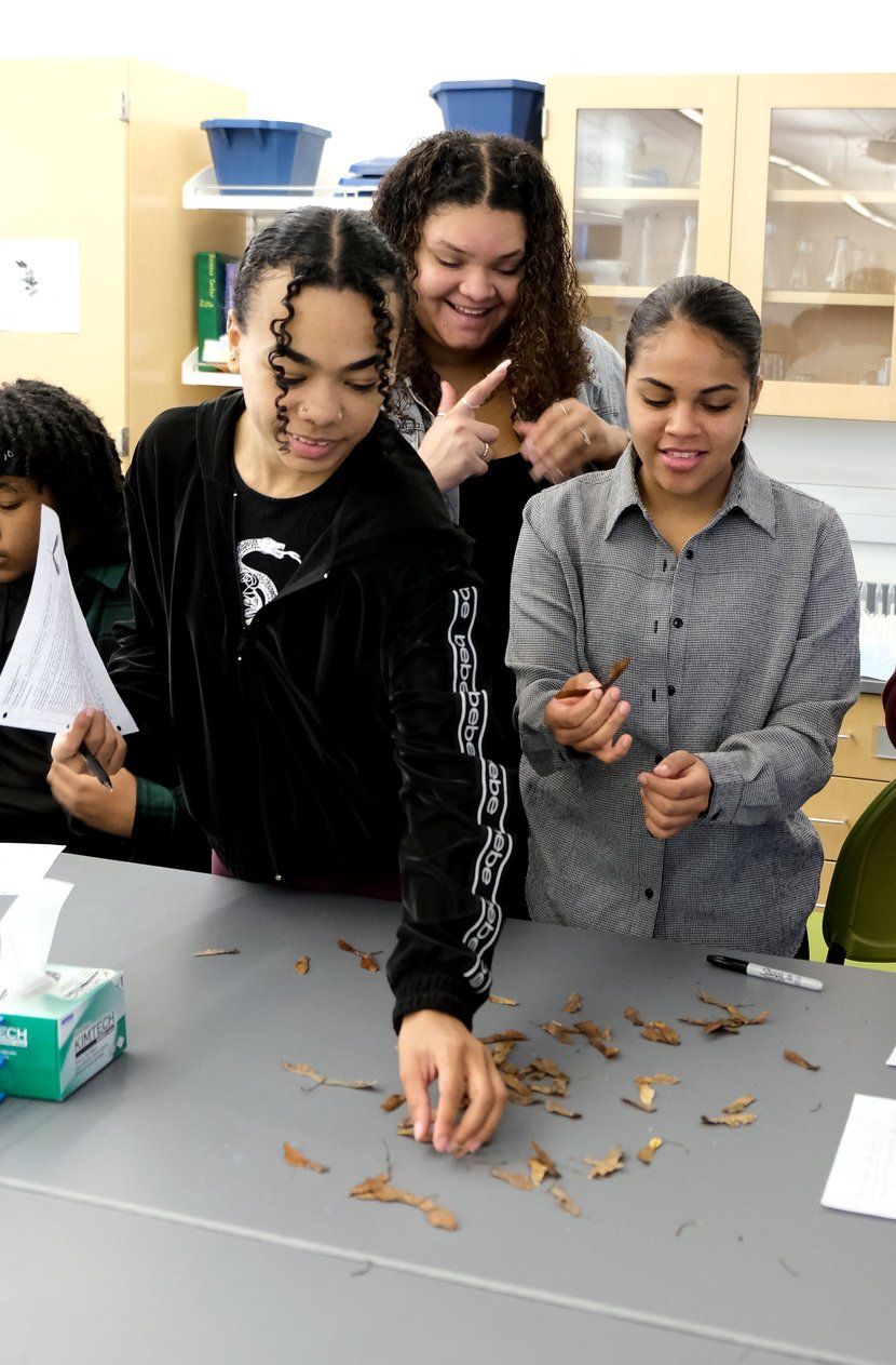 FYE - Seed Dispersal Lab