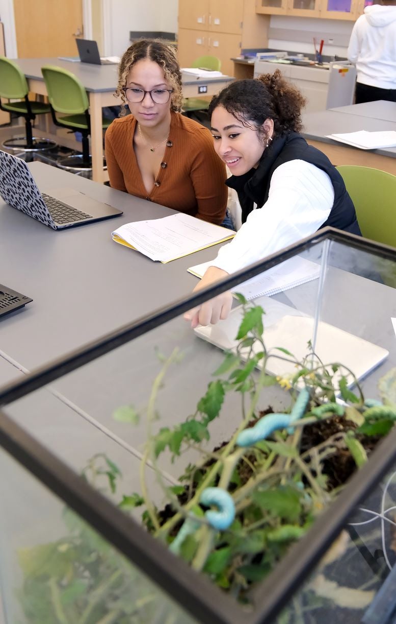 Around Campus - Ecology Lab, Research Project