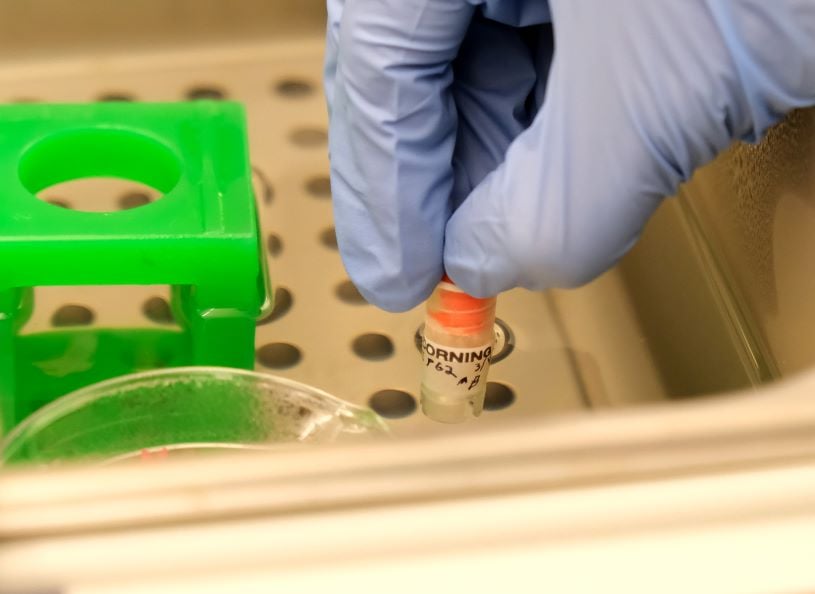 Around Campus - Cell Culture Techniques