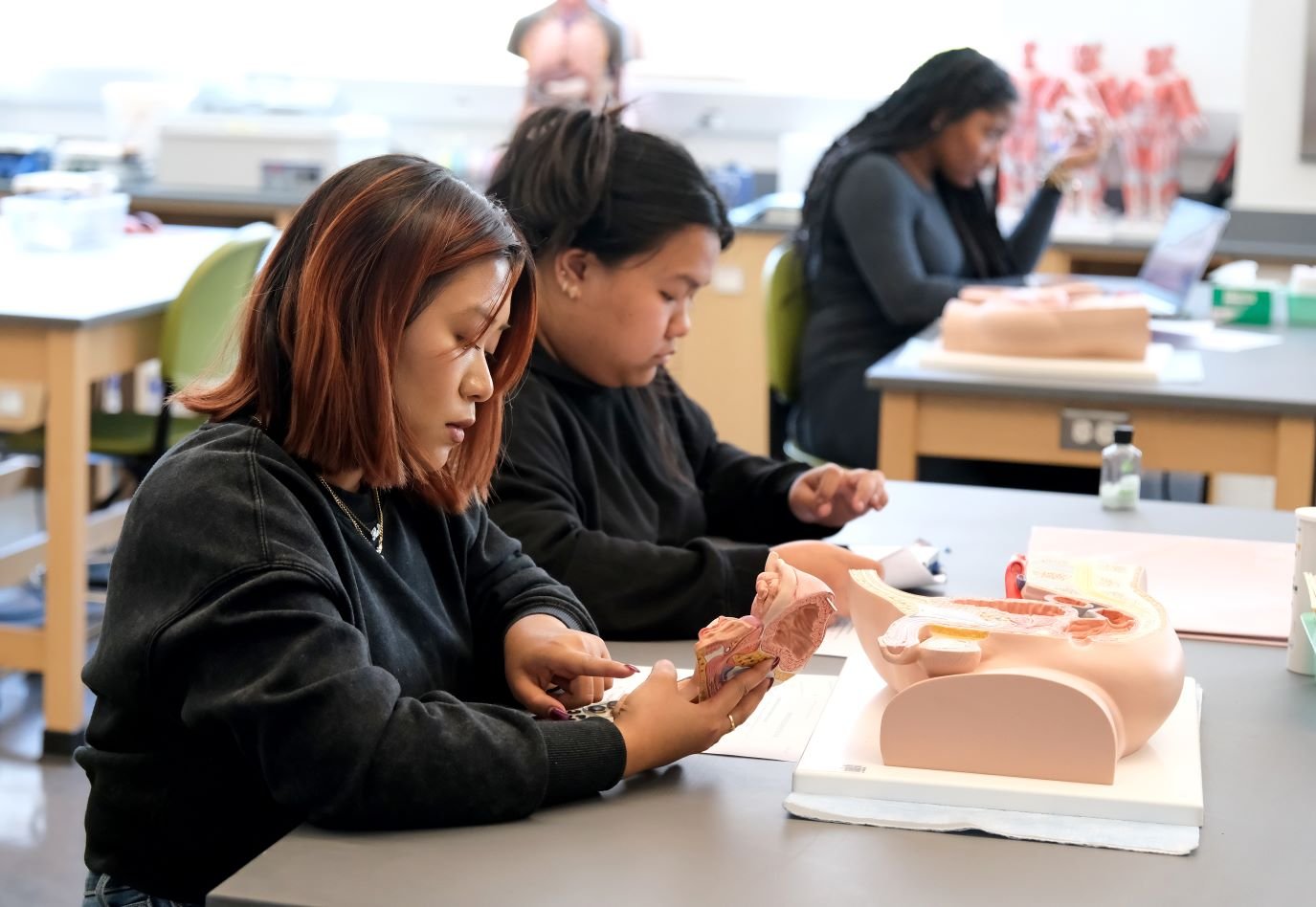 Around Campus - Anatomy II Lab