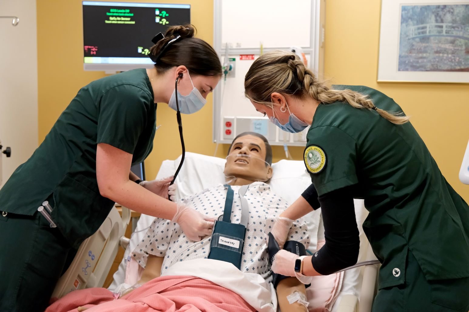Nursing Simulation Laboratory; Code Blue Scenario