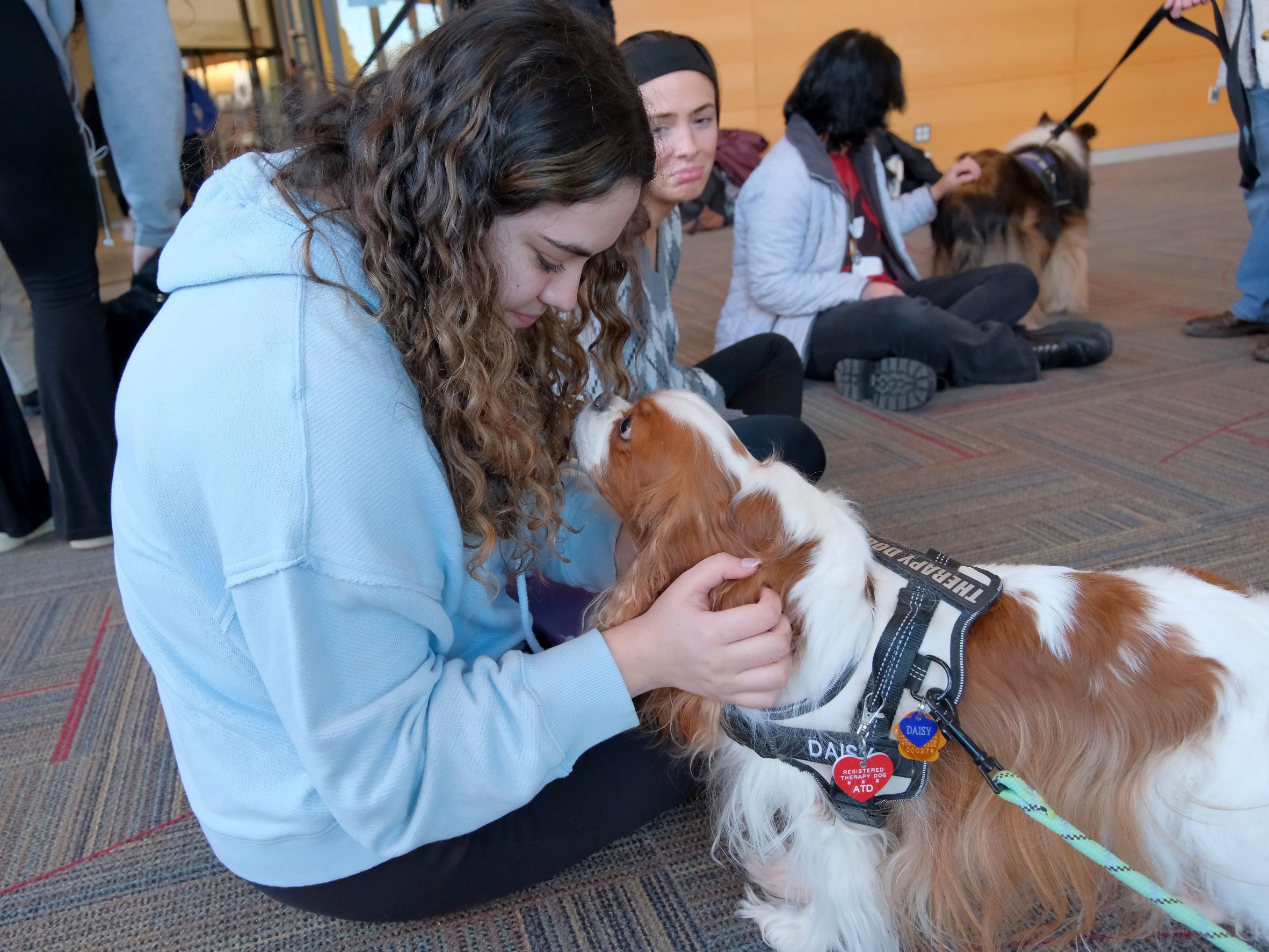 Around Campus - Therapy Dogs in Hammond Main Lounge